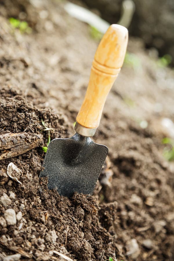 Soil and shovel stock photo. Image of tool, manual, cultivated - 35859660