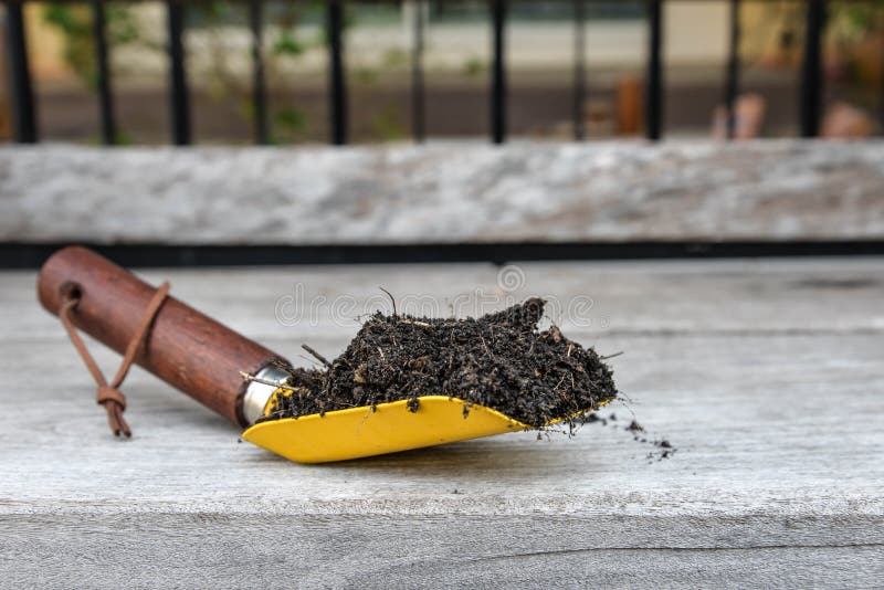 1,400 Soil Spoon Photos - Free & Royalty-Free Stock Photos from Dreamstime