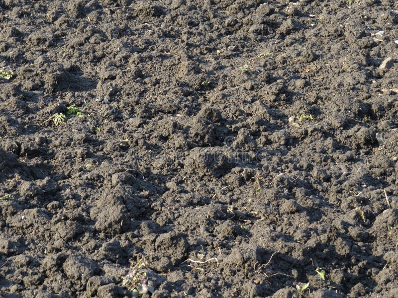 Soil stock image. Image of element, effect, feature, environment - 51200453