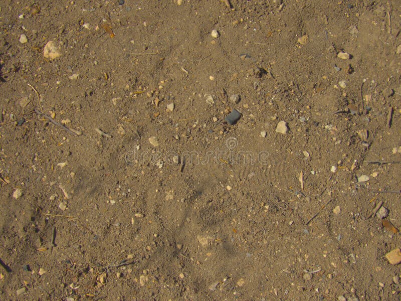 Soil stock image. Image of surface, field, environmental - 103366953