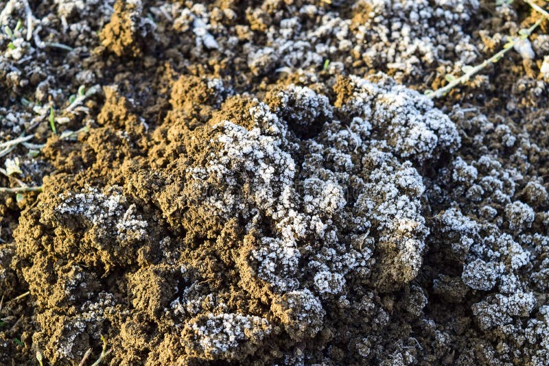 The Soil and Snow. Frozen Ground Stock Photo - Image of land ...