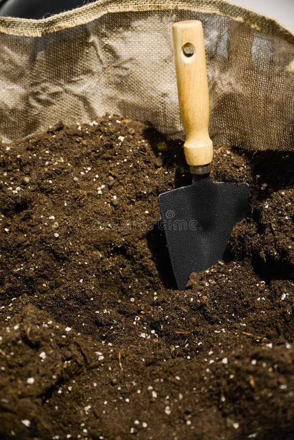 .Soil with a Spatula Suitable for the Cultivation of Ecological Plants ...