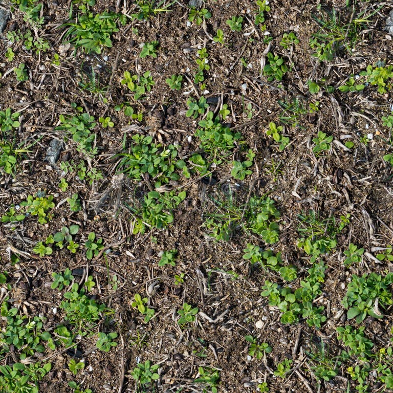 54,468 Grass Soil Texture Stock Photos - Free & Royalty-Free Stock ...