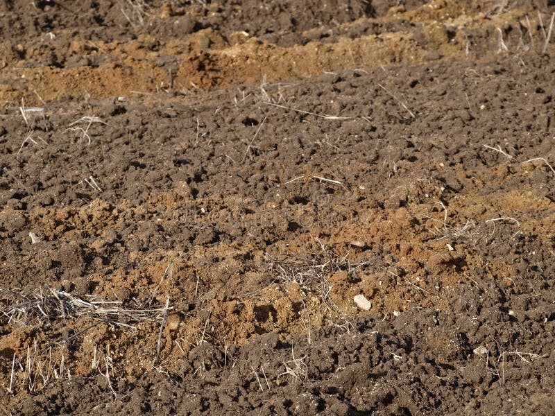 Soil structure stock photo. Image of soil, nature, dirt - 37714140