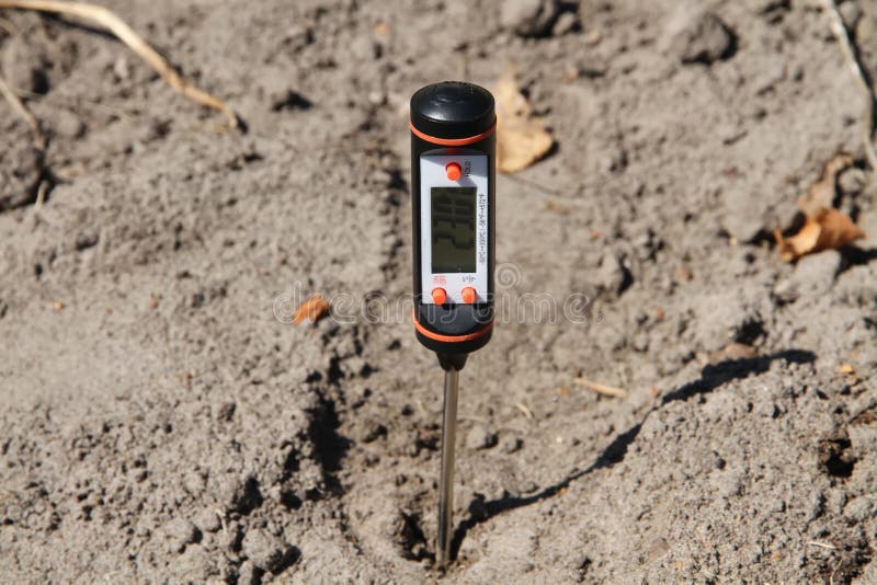 Measuring the Temperature of the Ground in the Garden. Stock Image ...
