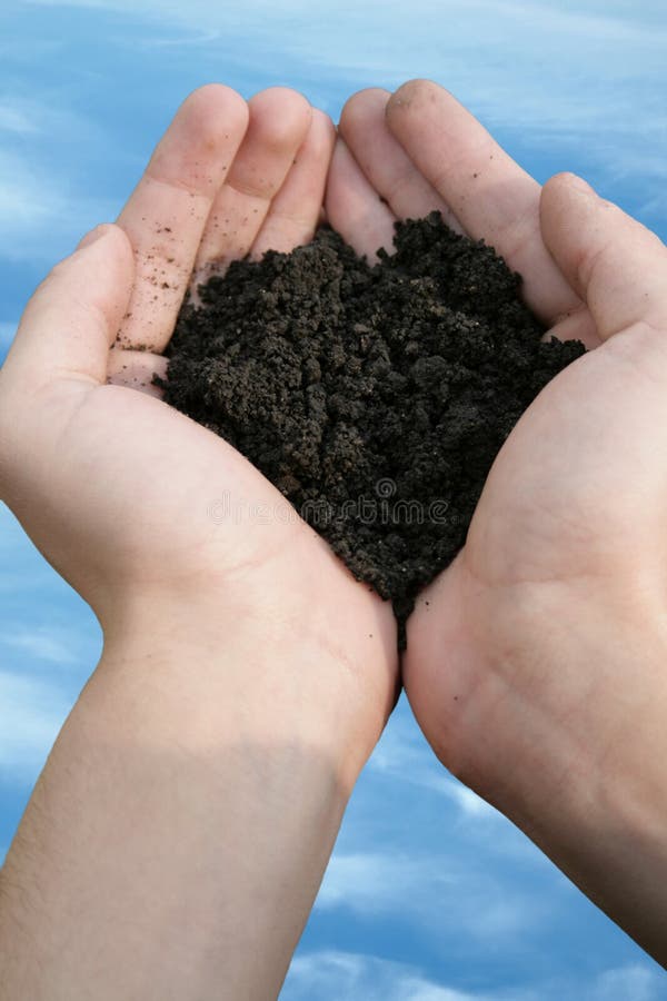 Soil in hand stock image. Image of gardening, fragility - 8367489