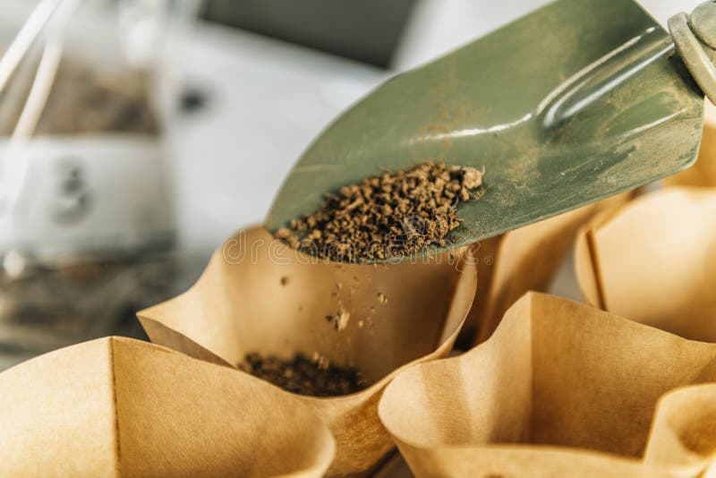 Soil Testing. Agronomy Inspector Taking Soil Sample Stock Photo - Image ...