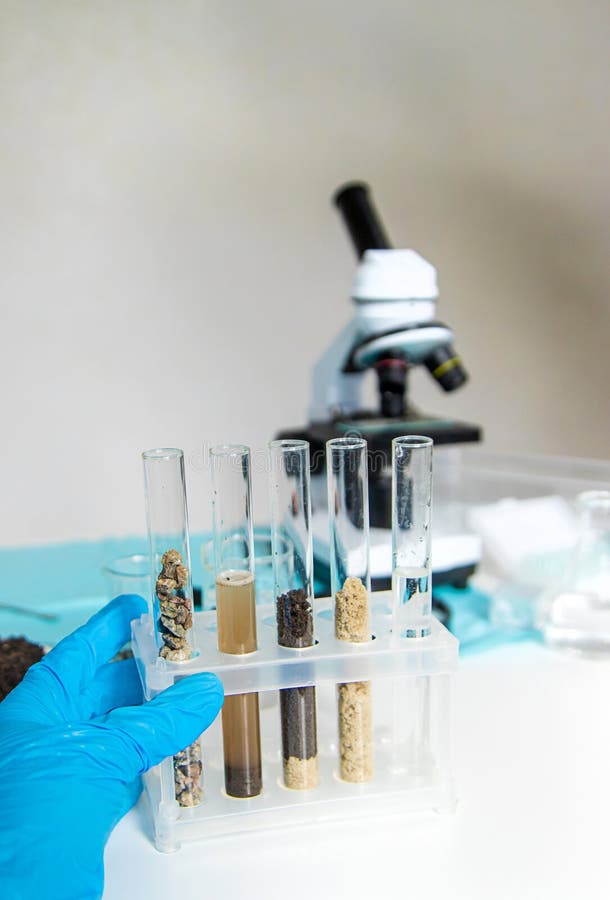 Soil Testing in the Laboratory. Selective Focus Stock Photo - Image of ...