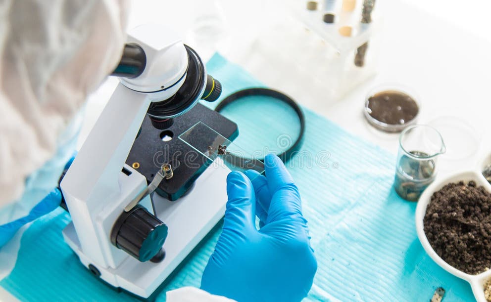 Soil Testing in the Laboratory. Selective Focus Stock Image - Image of ...