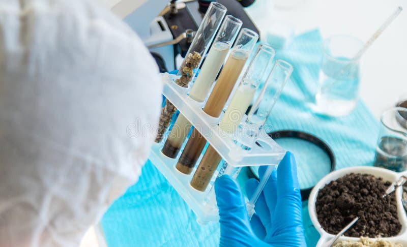 Soil Testing in the Laboratory. Selective Focus Stock Image - Image of ...