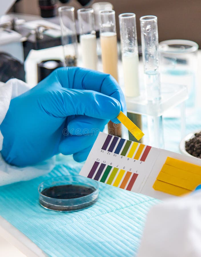 Soil Testing in the Laboratory. Selective Focus Stock Image - Image of ...