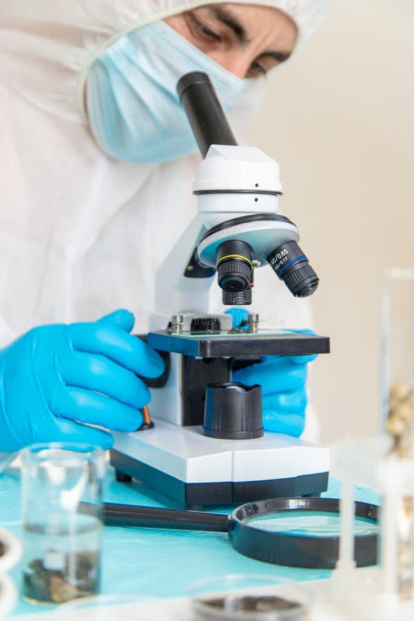 Soil Testing in the Laboratory. Selective Focus Stock Photo - Image of ...