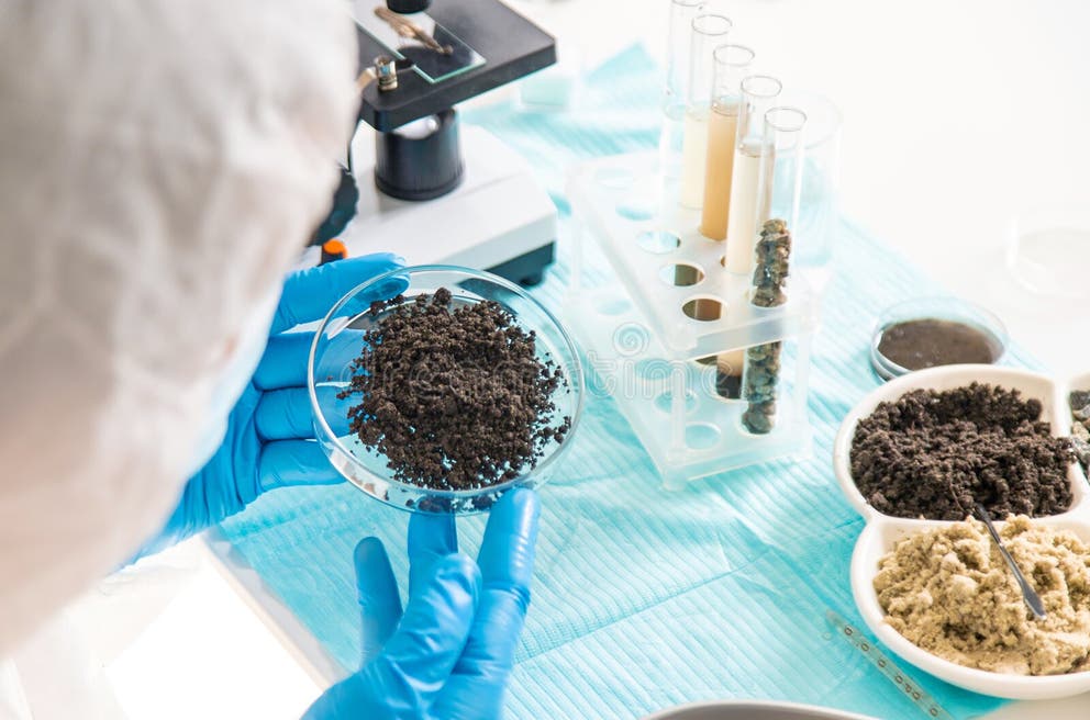 Soil Testing in the Laboratory. Selective Focus Stock Image - Image of ...
