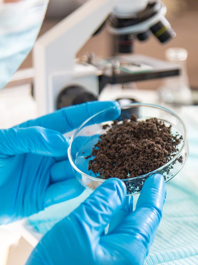 Soil Testing in the Laboratory. Selective Focus Stock Photo - Image of ...