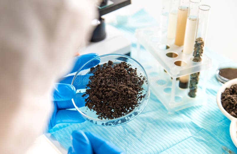 Soil Testing in the Laboratory. Selective Focus Stock Photo - Image of ...