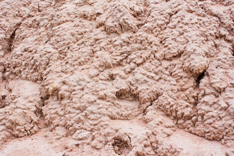 Soil Texture Picture. Image: 21463216