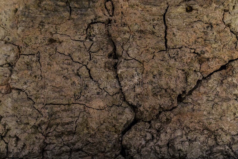 Soil texture background stock image. Image of ground - 74378291