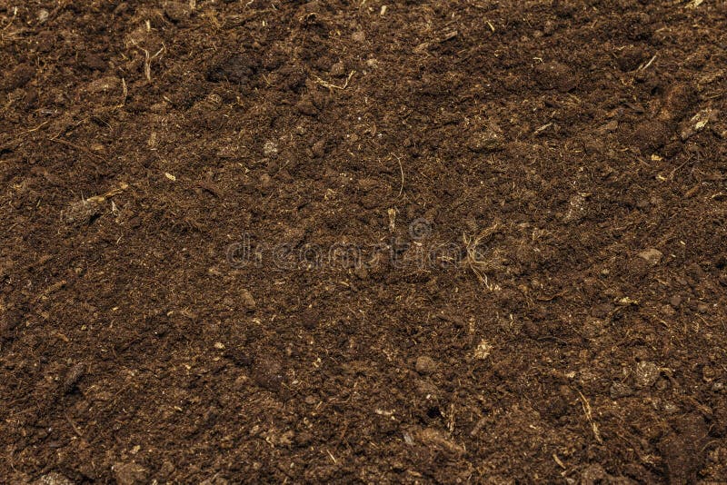 Soil Texture Background for Gardening Concept. Cultivated Ground ...