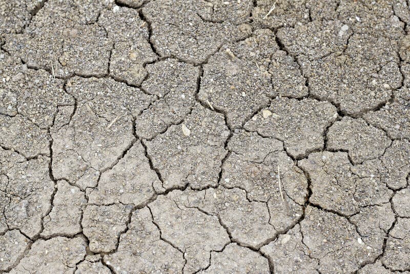 Soil texture stock photo. Image of cultivated, grunge - 71769534