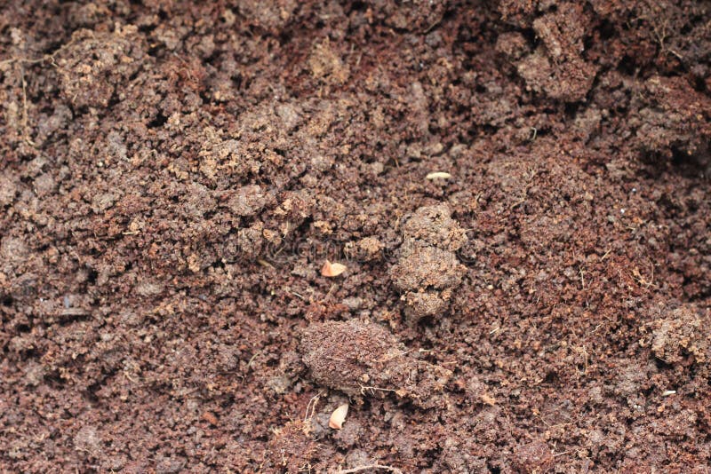 Soil texture background stock photo. Image of agriculture - 135763722