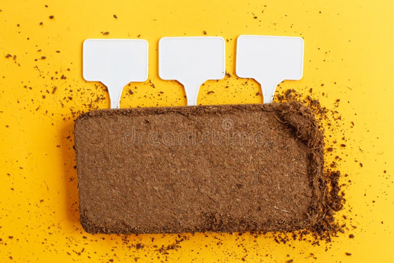 247 Mud Writing Stock Photos - Free & Royalty-Free Stock Photos from ...