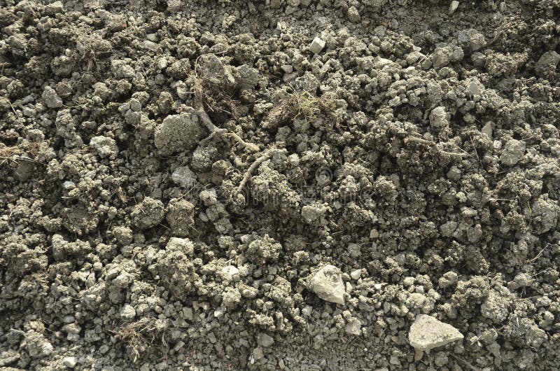 Soil texture stock photo. Image of abstract, soil, background - 102800386