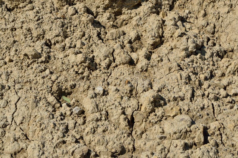 Soil texture stock image. Image of gardening, background - 33628325