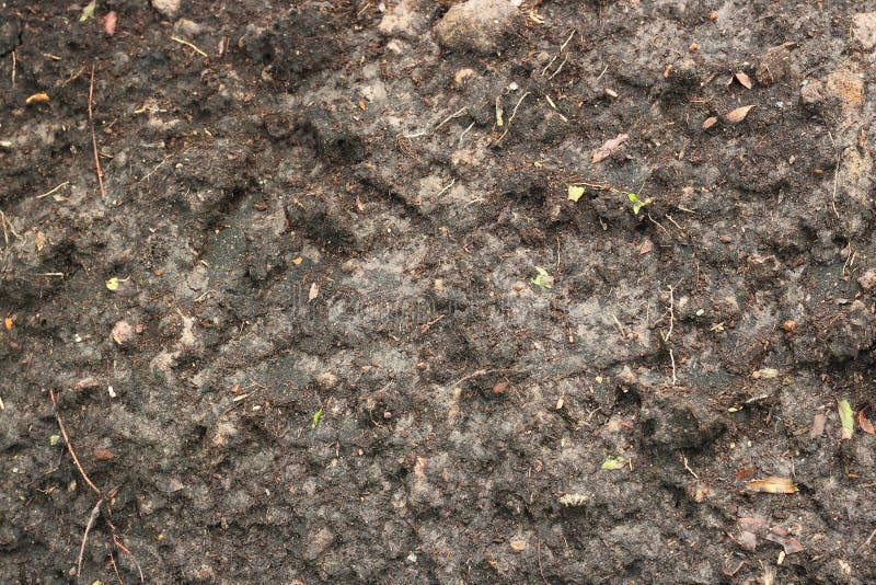 Soil texture in garden stock photo. Image of dirt, texture - 73030374