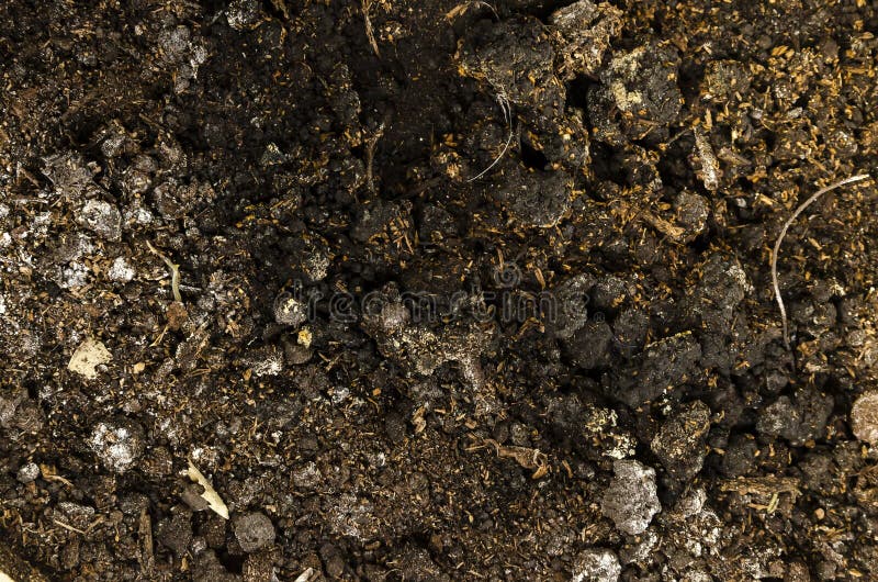 Soil texture, ground stock image. Image of organic, outdoor - 141886889