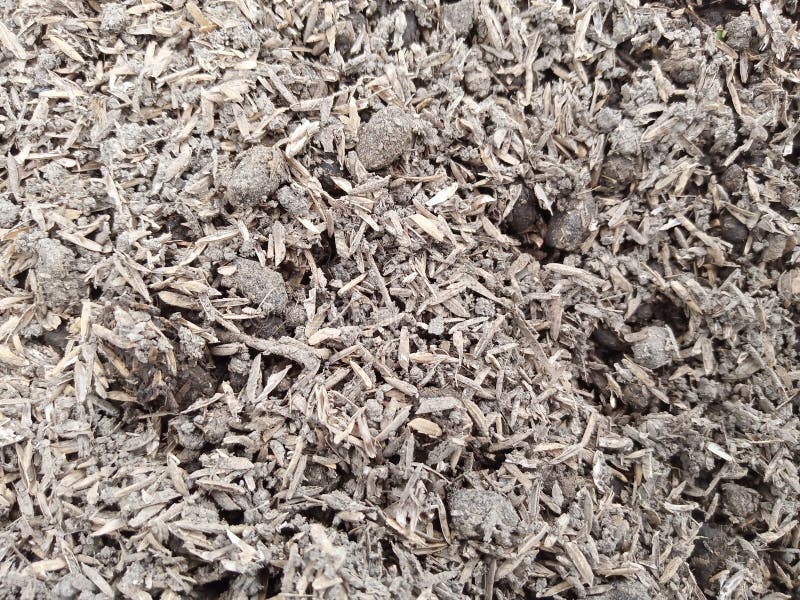 Soil Texture Mixed with Manure and Compost for Planting Media. Stock ...