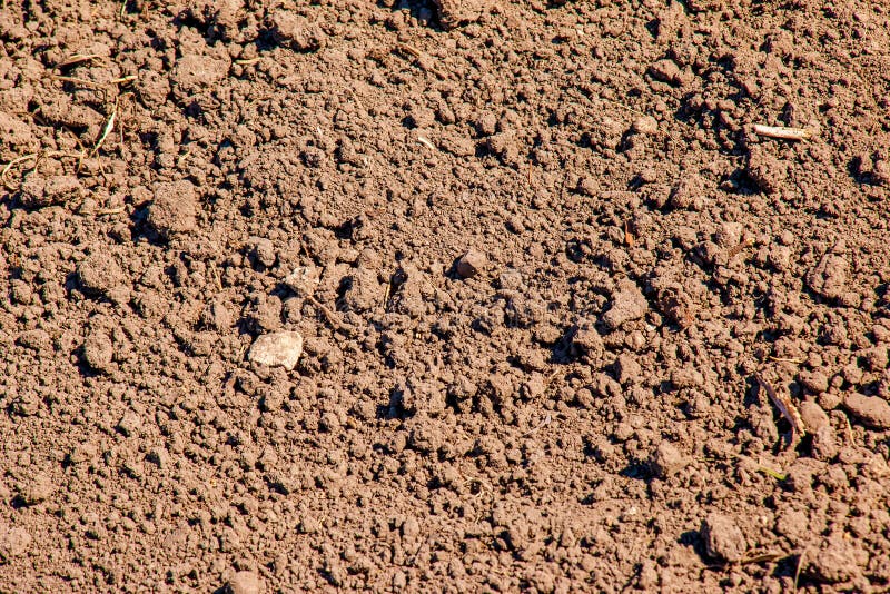 Soil Texture. the Soil is Prepared for Planting in Spring Stock Image ...