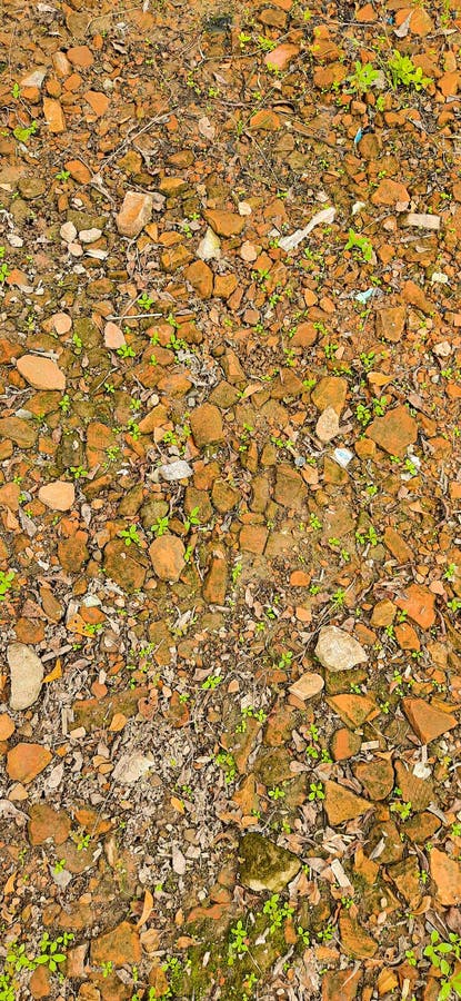 Soil Texture with Rocks and a Bit of Grass Stock Image - Image of rock ...