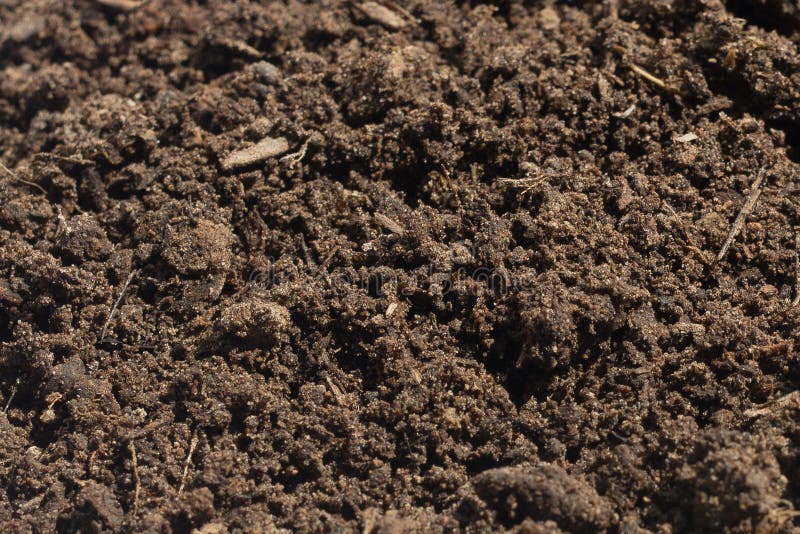 Soil texture stock image. Image of fertile, earth, field - 102613227