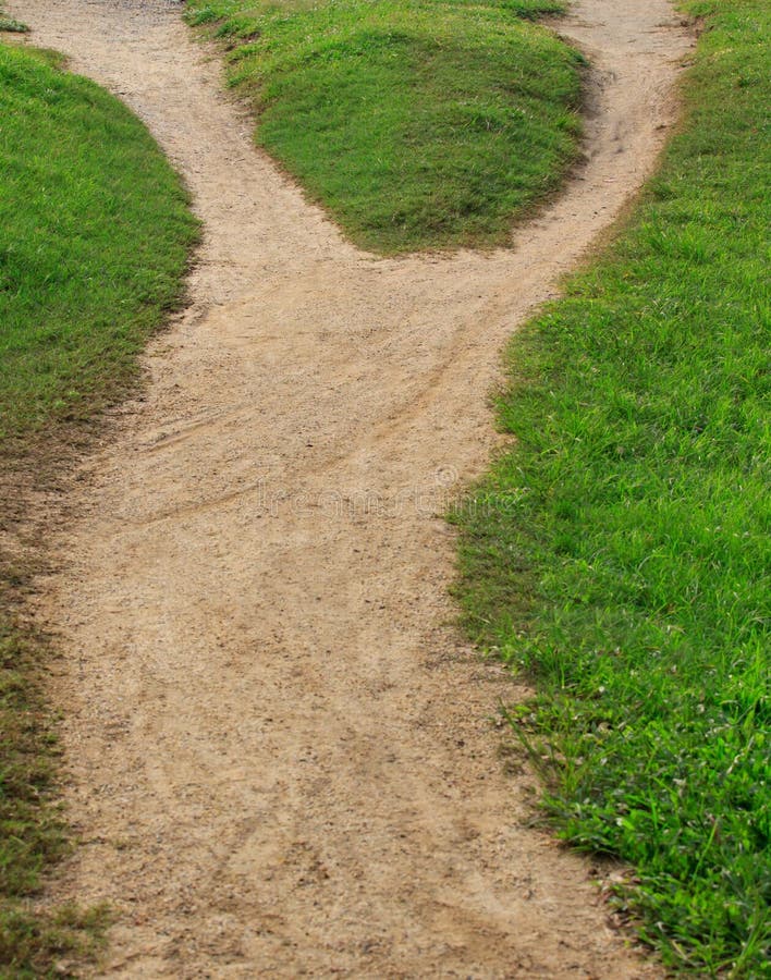 Soil Trail and Green Grass Separated Two Way Stock Photo - Image of ...
