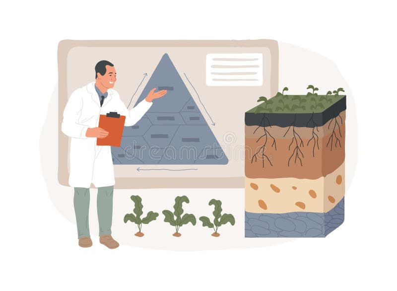 Soil Type Isolated Concept Vector Illustration. Stock Vector ...