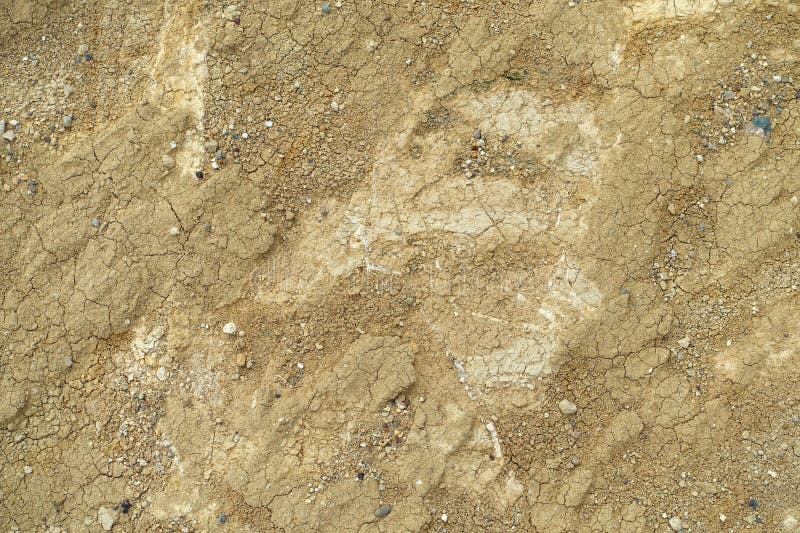 Soil Types-yellow Soil Type, Sandy and Hard Rock Yellow Soil, Soil ... Soil Types-yellow Soil Type, Sandy and Hard Rock Yellow Soil, Soil ...