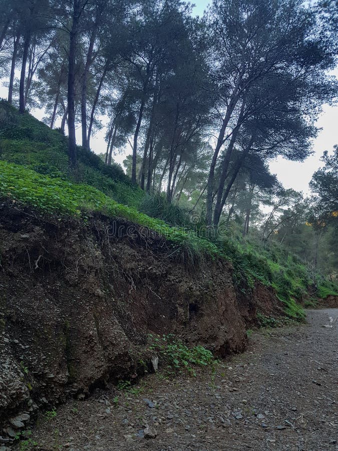 Soil Wall in the Pristine Nature Path To Enjoy the Natural World Stock ...