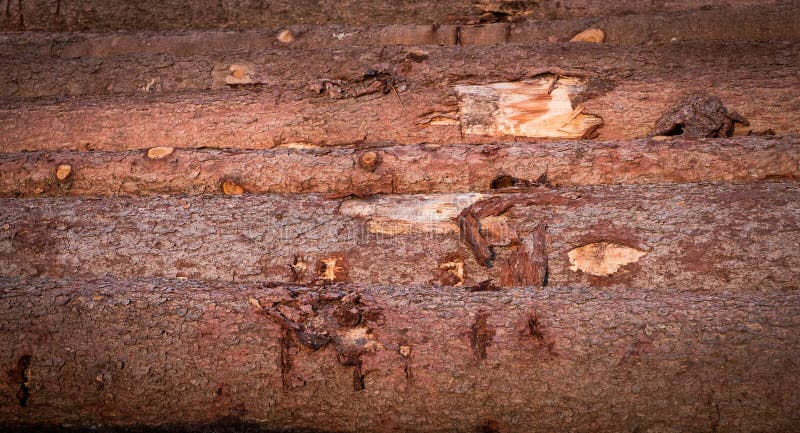 Soil, Wall, Wood, Rust Picture. Image: 134214093