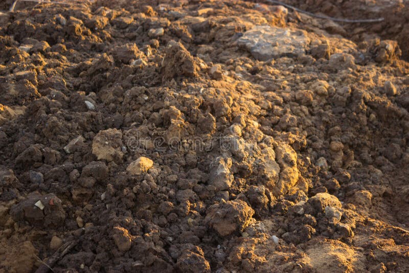 7,613 Soil Warm Photos - Free & Royalty-Free Stock Photos from Dreamstime