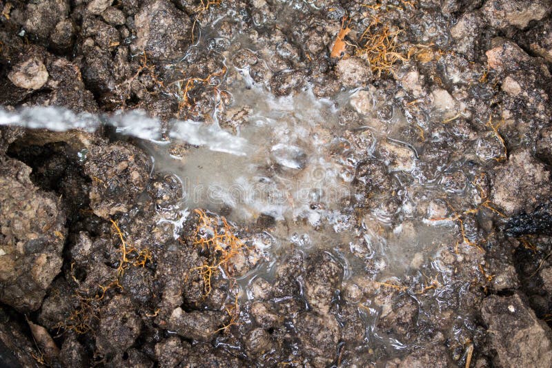 Soil water stock image. Image of grunge, textured, humus - 79059541