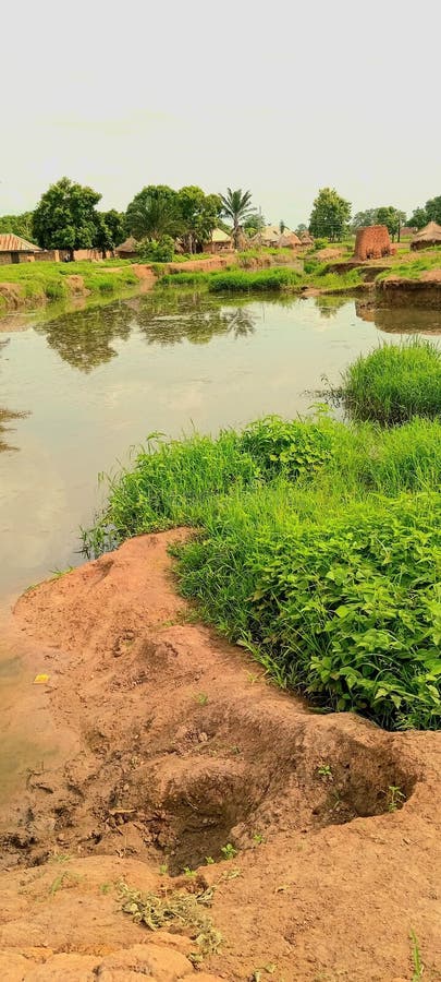 Soil water ground wetlands stock photo. Image of plant - 323213702