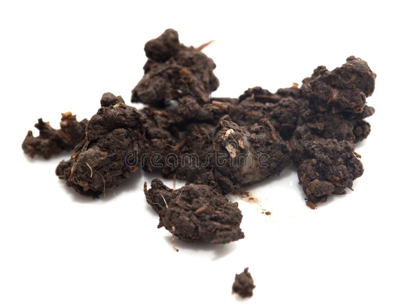 Soil on a white background stock image. Image of black - 102488091