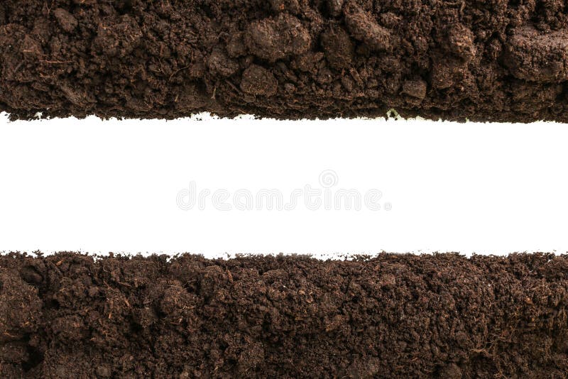 Soil on white background stock photo. Image of care - 151260984