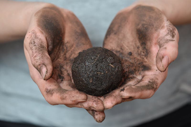 Soil Woman Hands Form Earth Planet Stock Photos - Free & Royalty-Free ...