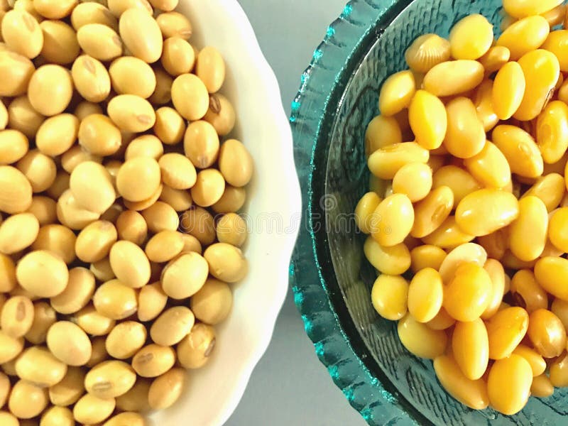 Soja imagen de archivo. Imagen de algunos, sojas, granos - 87768603