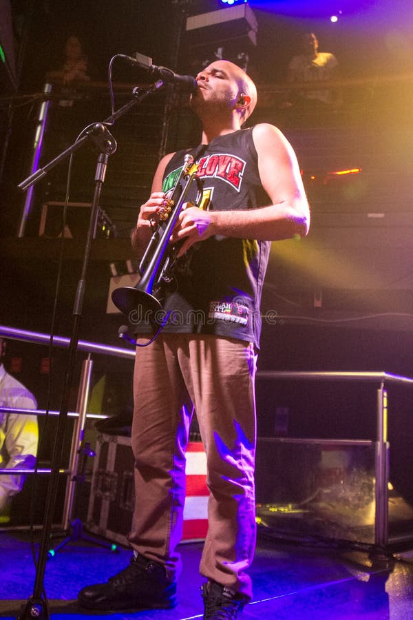 Soja editorial photo. Image of soja, saxaphone, guitar - 45924306