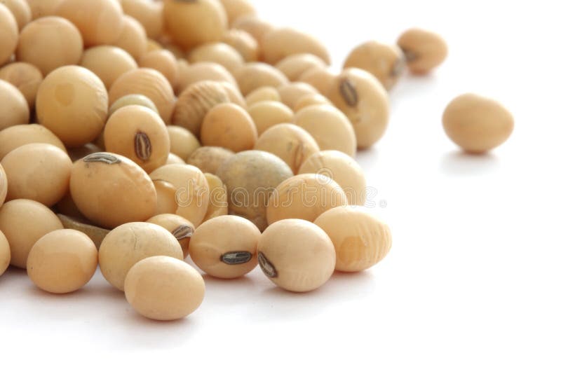 Sojabonen stock afbeelding. Image of droog, boon, ingrediënt - 12945923