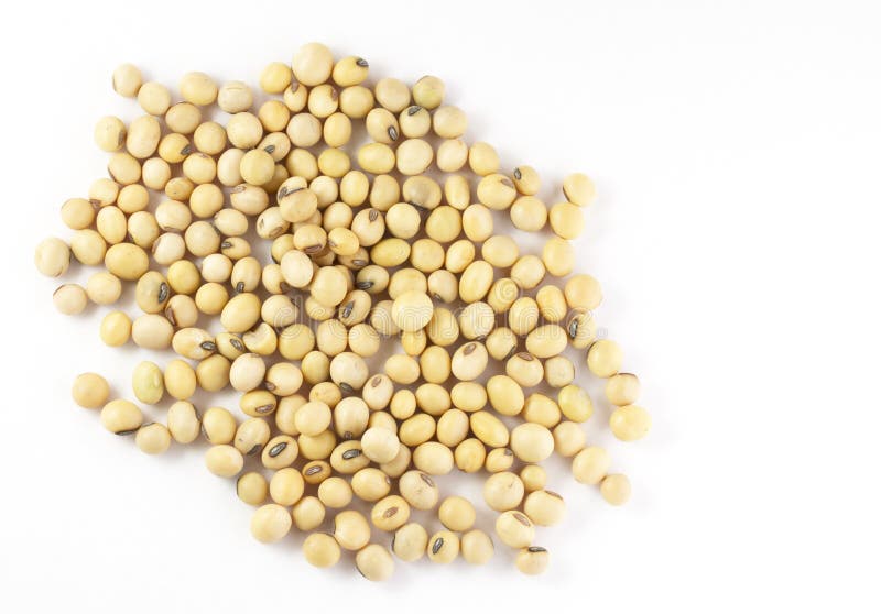 Sojabonen stock afbeelding. Image of achtergrond, oosters - 16853273
