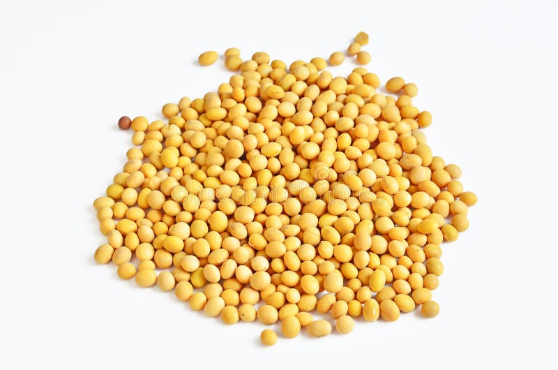 Sojabonen stock afbeelding. Image of bonen, achtergrond - 18366263
