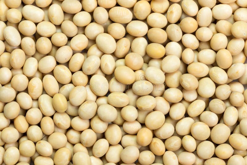 De melk van de soja stock foto. Image of bonen, vezel - 24765644